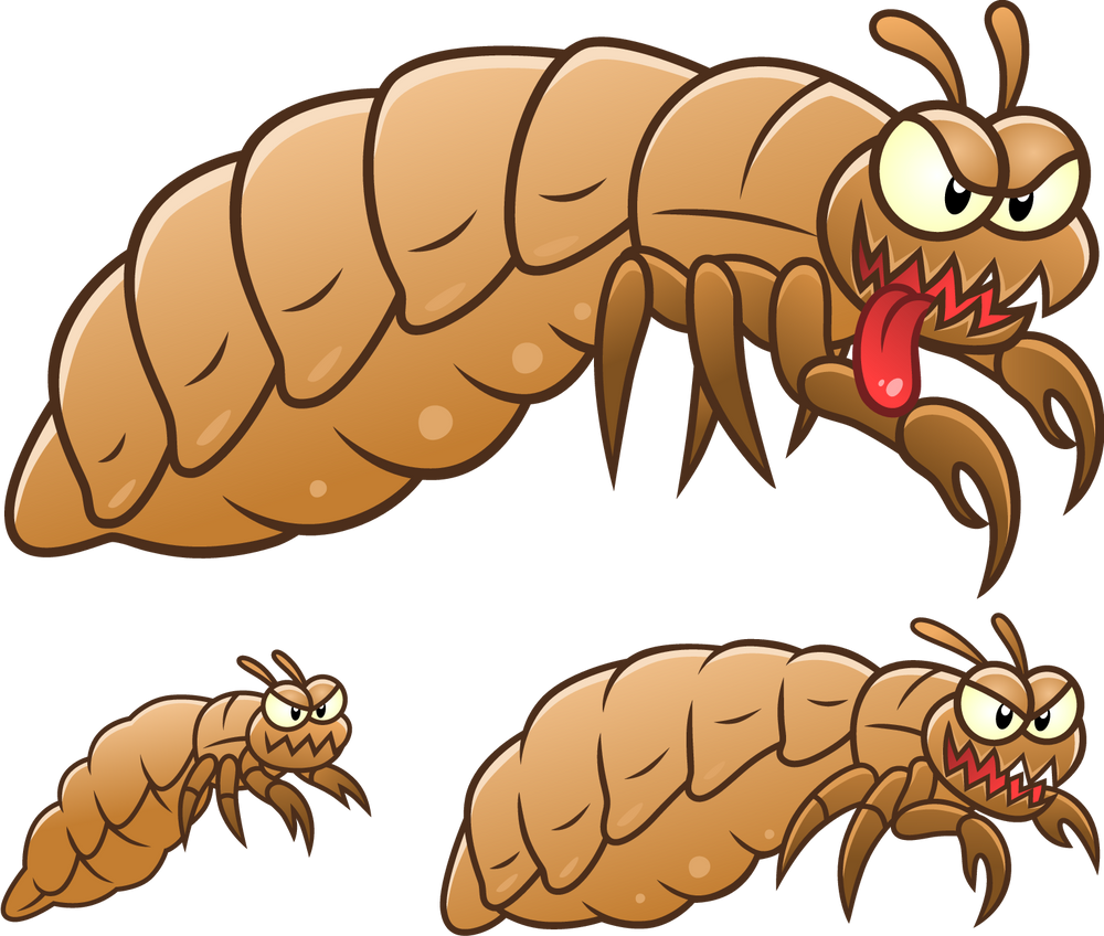 Dimeticon lotion tegen hoofdluis, LuizenWeg.nl – Luizenweg