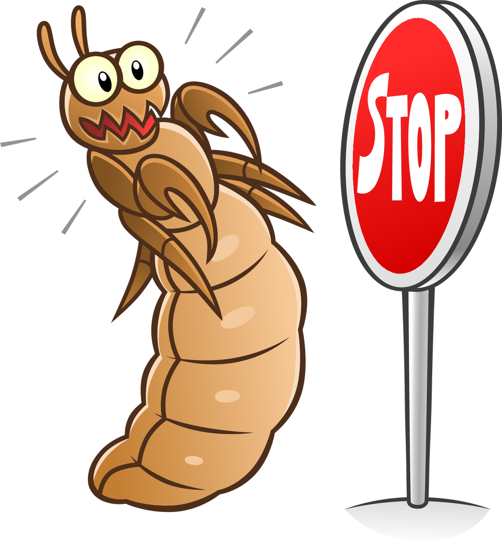 Dimeticon lotion tegen hoofdluis, LuizenWeg.nl